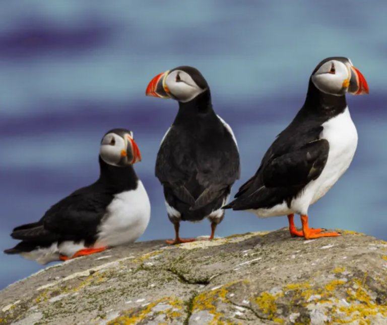 Nonprofit Software for Social Impact | Bonterra Tech