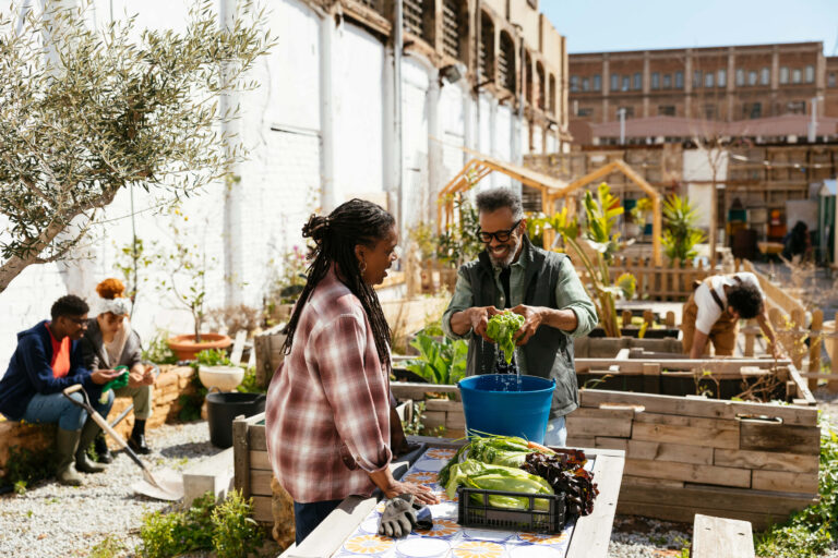 Nonprofit Software for Social Impact | Bonterra Tech