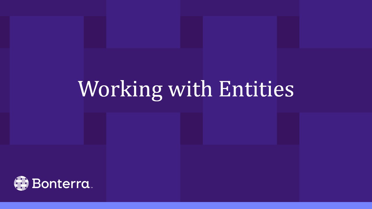 Working with Entities | Bonterra